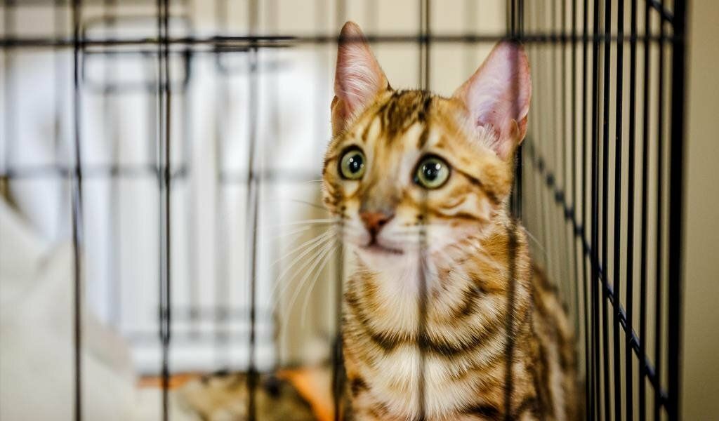 Wo soll ich hin? - Bremervörder Anzeiger - Anzeiger Verlag